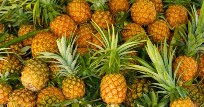 Fruta com A: Veja as Principais Frutas com a Letra A, seus Benefícios e ...