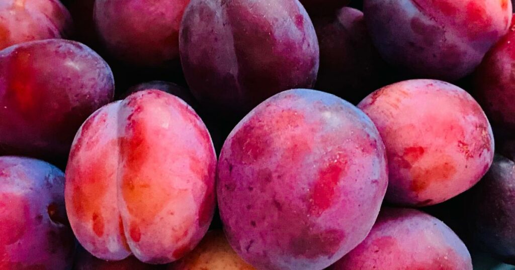 Fruta com A: Veja as Principais Frutas com a Letra A, seus Benefícios e Receitas