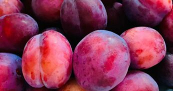 Fruta com A: Veja as Principais Frutas com a Letra A, seus Benefícios e ...