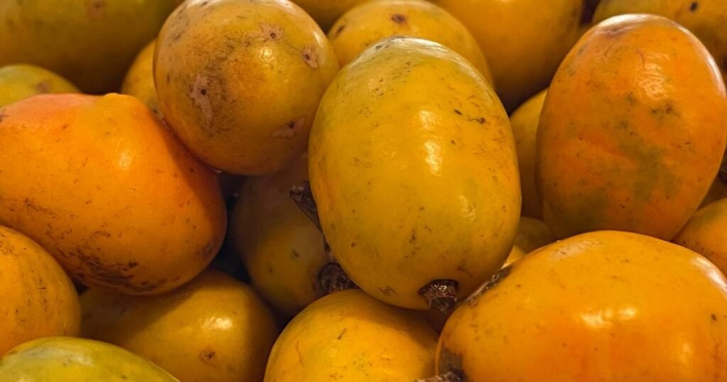 Fruta com S: Principais Frutas com a Letra S, Benefícios e Receitas