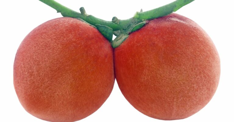 Fruta com V: Principais Frutas com a Letra V, Benefícios e Receitas