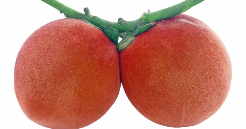 Fruta com V: Principais Frutas com a Letra V, Benefícios e Receitas