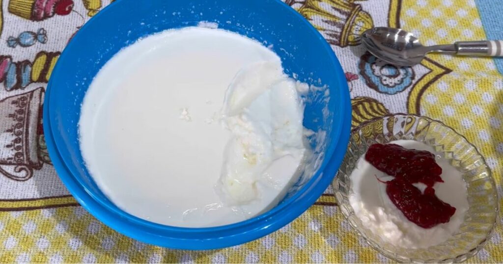 Iogurte Grego Caseiro